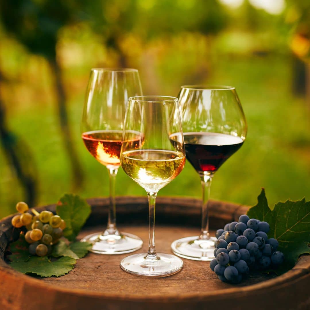 5 Signs You're a Wine Fanatic - Mad Fish Wines